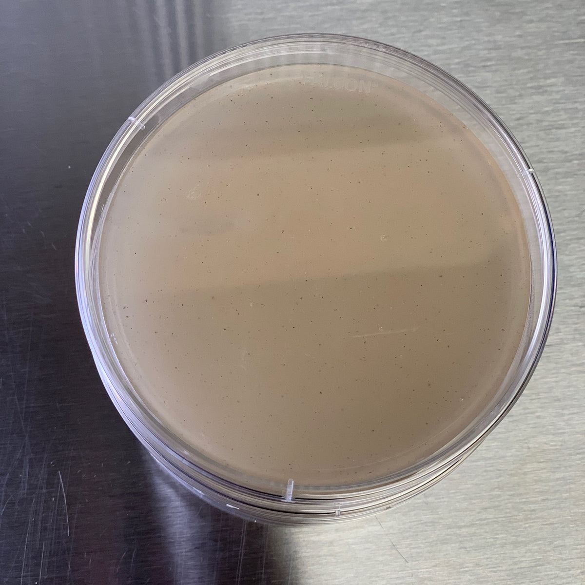 Learn AGAR Basics – Midwest Grow Kits