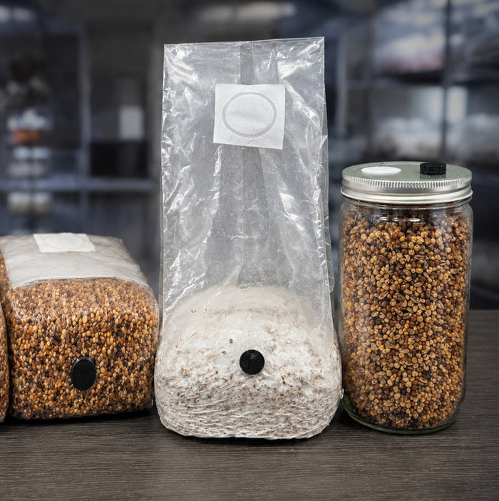 Grain Spawn Jars | Spawn Jars | Midwest Grow Kits
