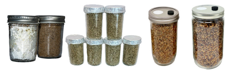 Mushroom Substrate Grain Jars | Midwest Grow Kits
