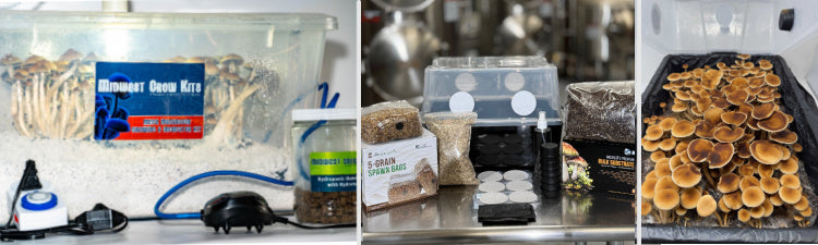 Grow Kits – Midwest Grow Kits