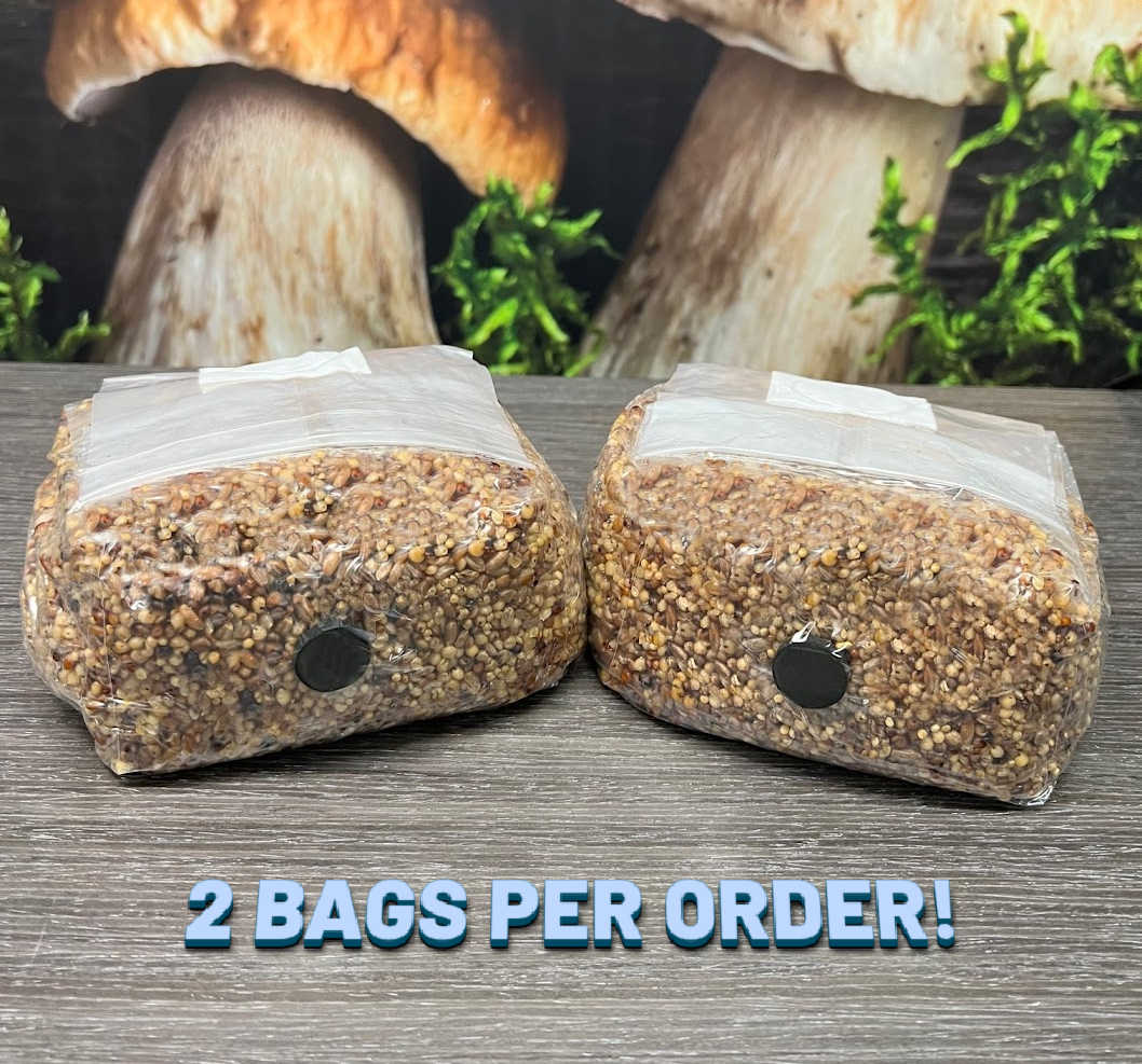 Mushroom Spawn Grain Bags | Midwest Grow Kits