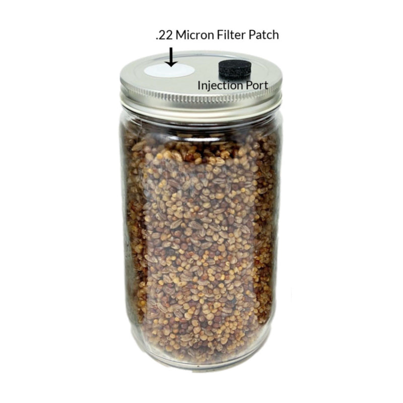 Grain Spawn Mushroom Jars | Midwest Grow Kits