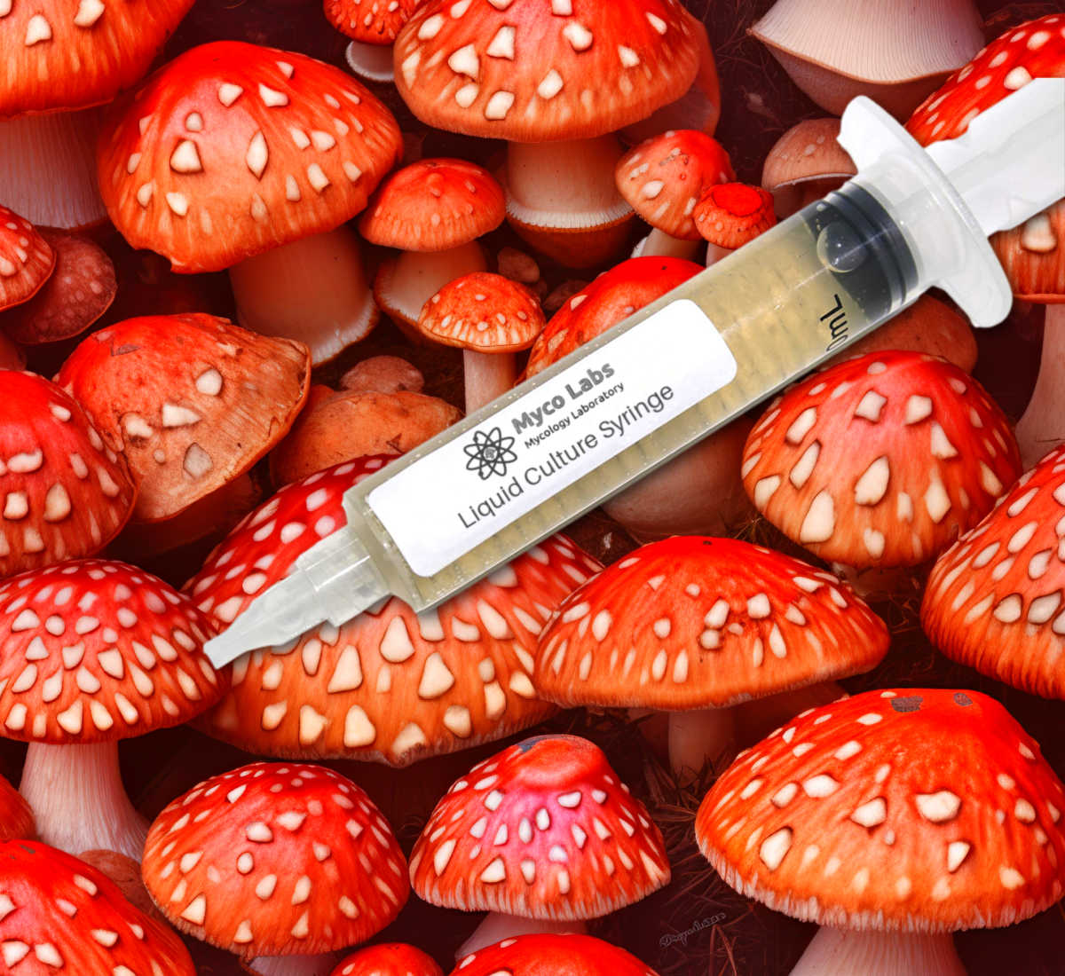 Liquid Culture Syringes | Lab-Tested 10cc LC | Midwest Grow Kits