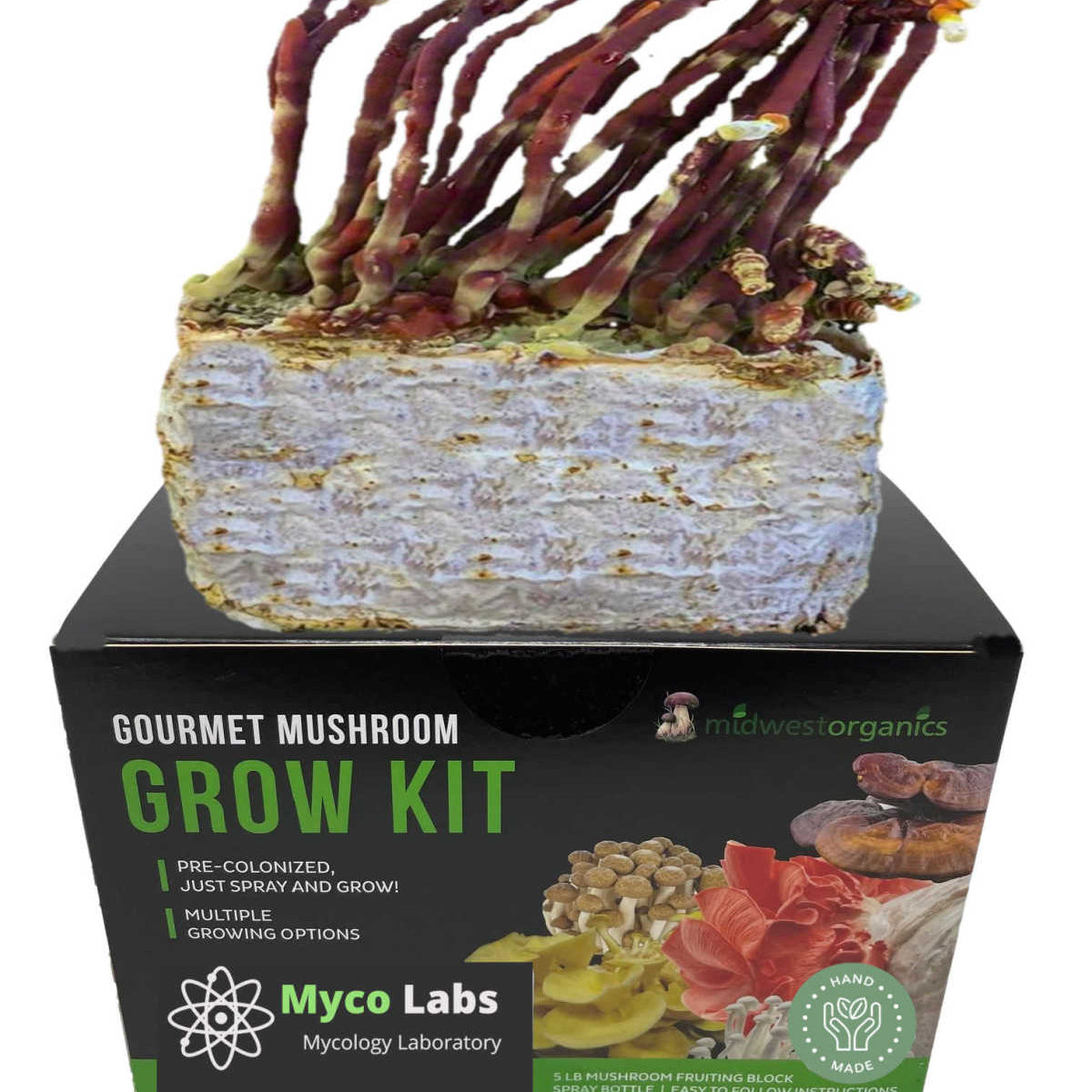 Antler Reishi Mushroom Grow Kit (5lbs) – Midwest Grow Kits
