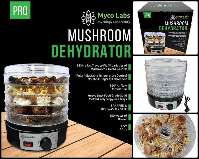 Myco Labs | Mycology Spawn Bags | Midwest Grow Kits