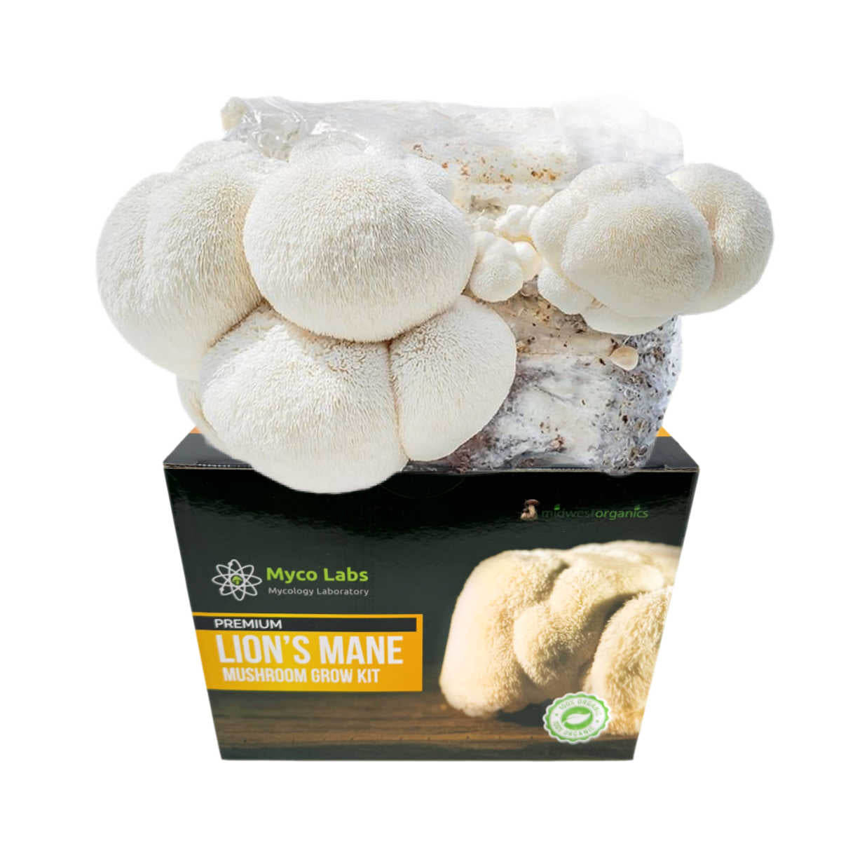 5LBS Lion's Mane Mushroom Growing Kit | Midwest Grow Kits