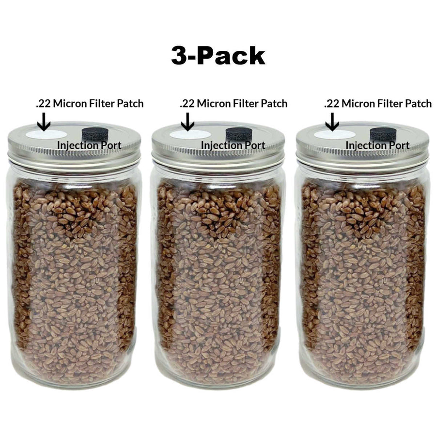 Grain Spawn Mushroom Jars | Midwest Grow Kits