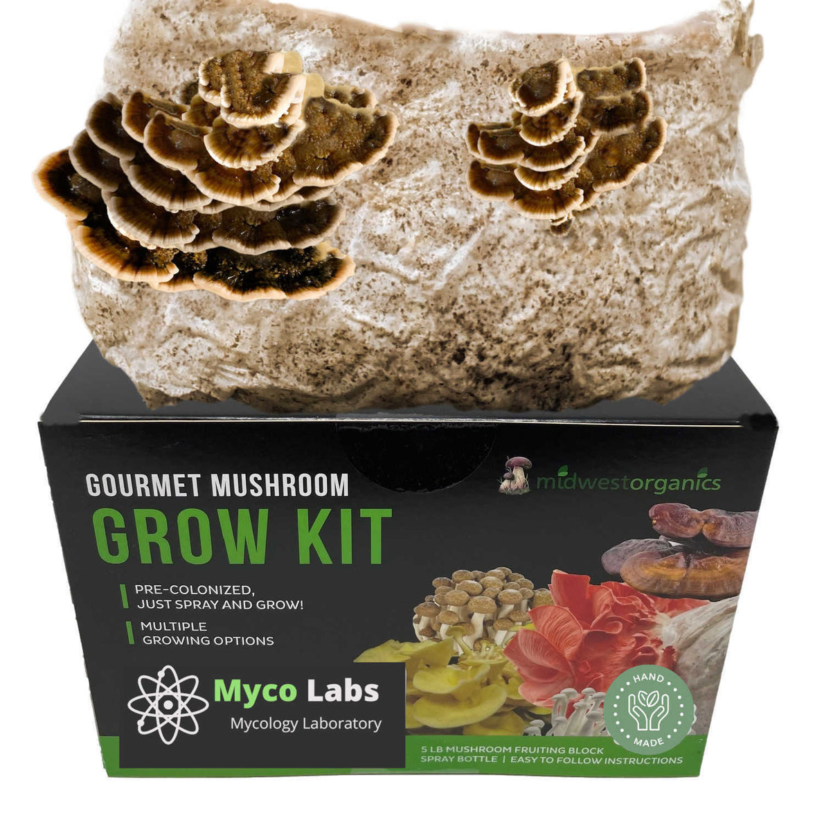 Turkey Tail Mushroom Grow Kit 5lbs | Midwest Grow Kits